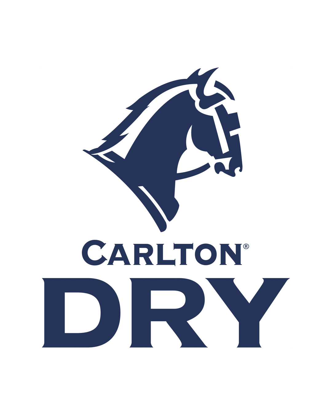 Buy Carlton Dry Lime 355ml online with (same-day FREE delivery*) in ...