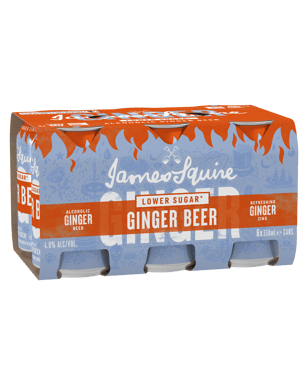 Buy James Squire Lower Sugar Ginger Beer Cans 330ml online with (same-day FREE delivery*) in ...