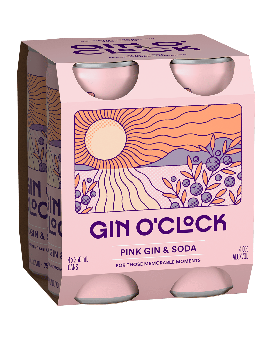 Buy Soda & Pink Gin Soda & 355ml online with (same-day FREE delivery ...